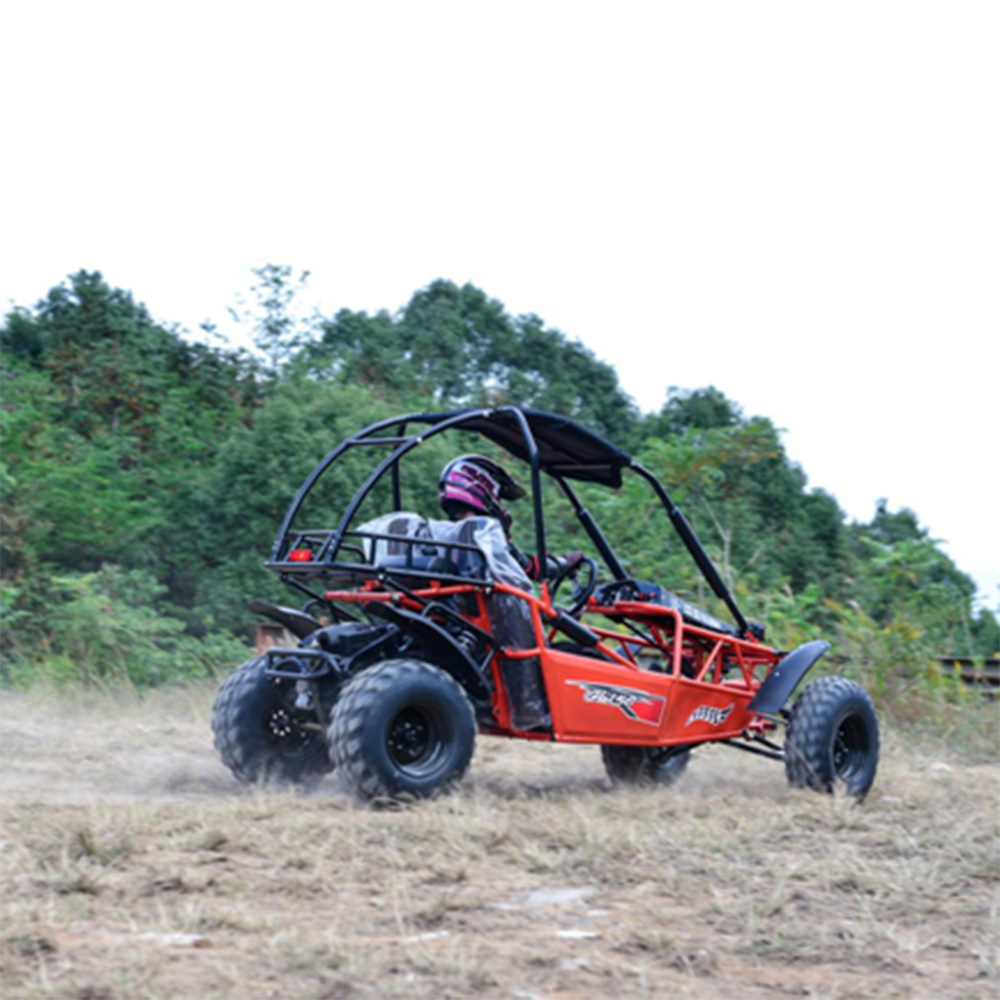 How to Choose the Best Dune Buggy 4x4: A Complete Buying Guide