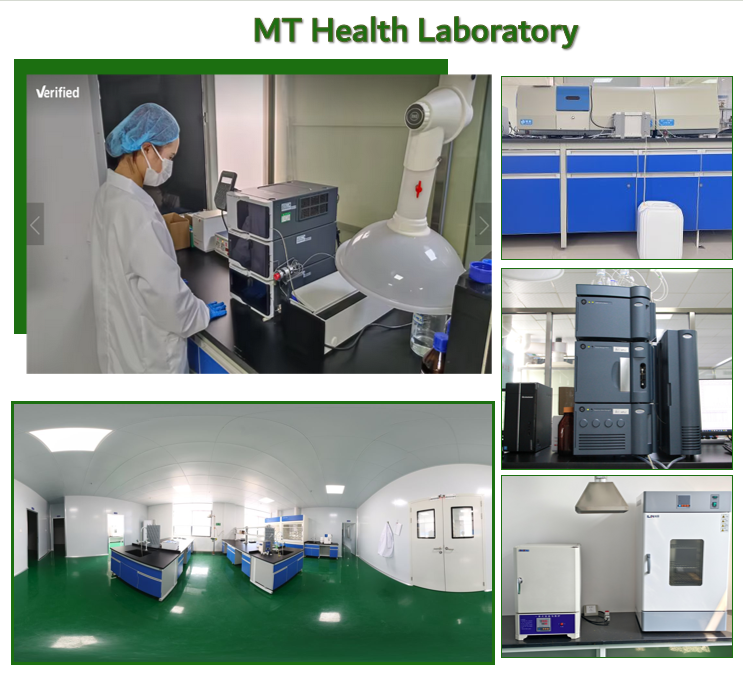 How to Choose Apple Seeds for Farming: A Complete Buyer's Guide