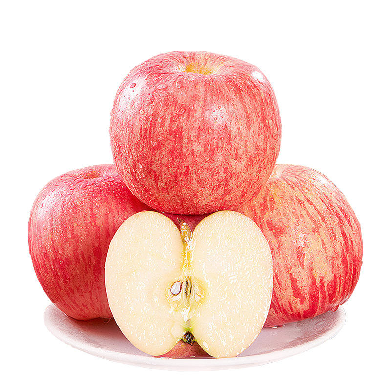 Most Popular Organic Red Fuji Fresh Apples-Juicy & Crunchy Grade a ...