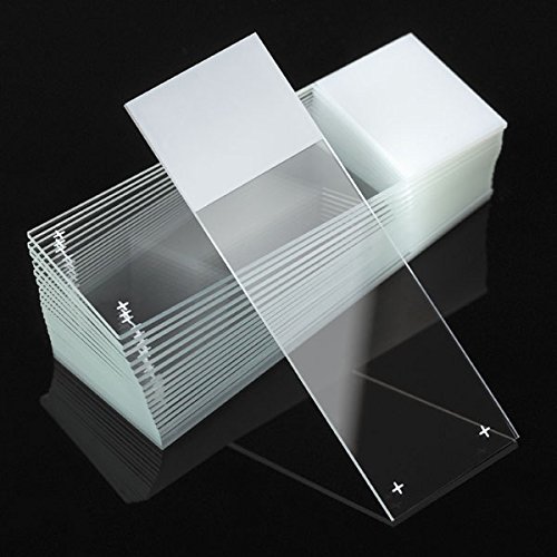 High quality positive charge slide adhesive microscope slides Products ...