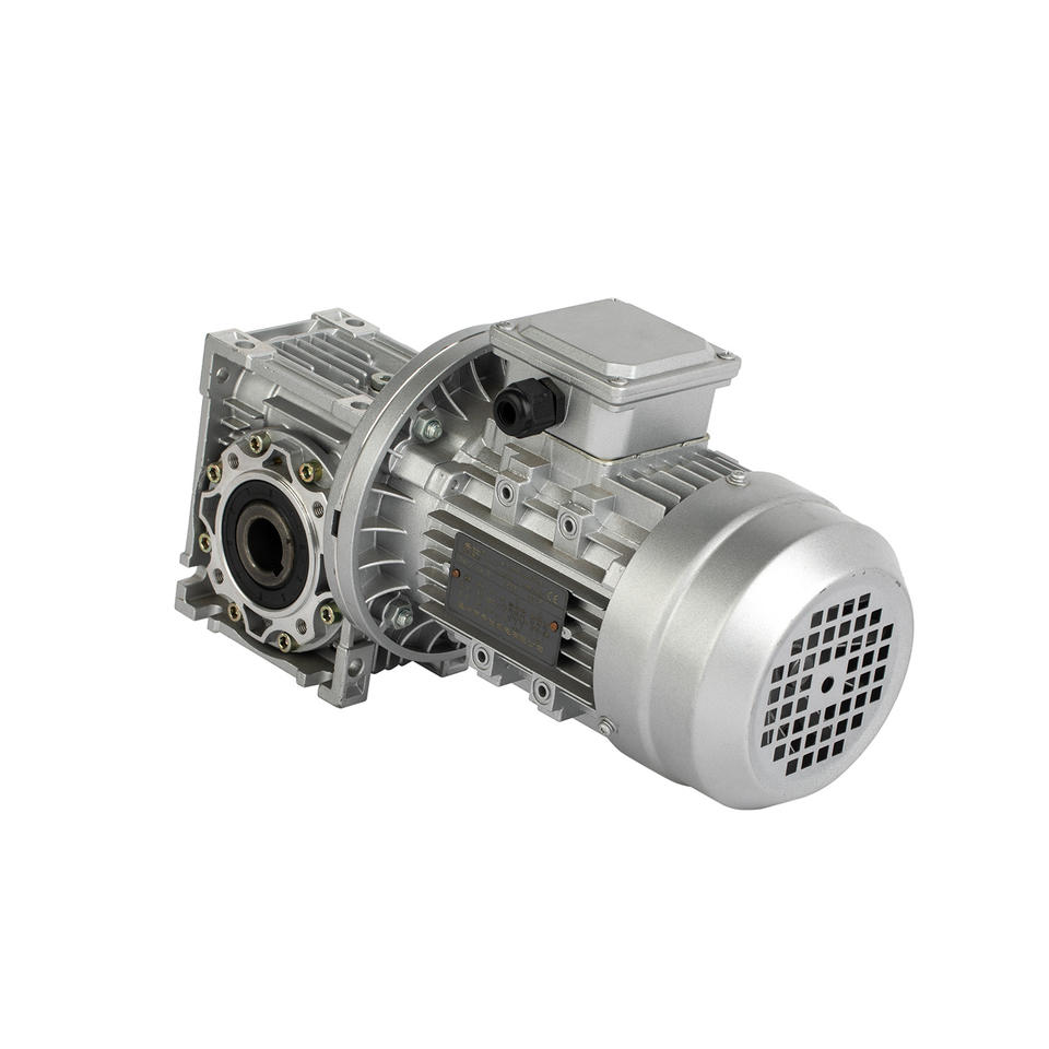 YS8024 0.75KW 3 Phase Asynchronous Motor with Worm Gear Reducer NMRV63 ...