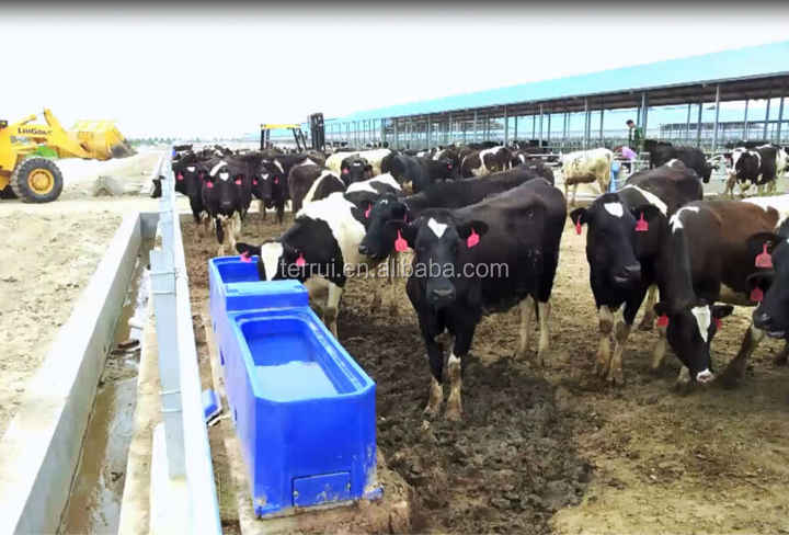 Automatic Waterer Cow Drinker Drinking Water Tank for Cattle Water ...