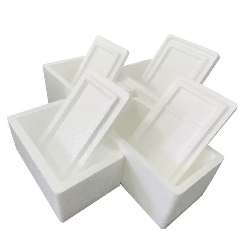 How to Choose Cardboard Insert Packaging: A Complete Buying Guide