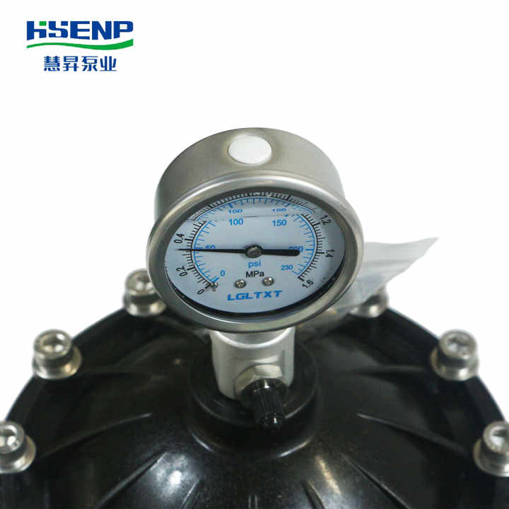DN15-DN50 PVC PPH PVDF Diaphragm Air Pulsation Damper Pulse Stabilizer Dosing Metering Pumps for ...
