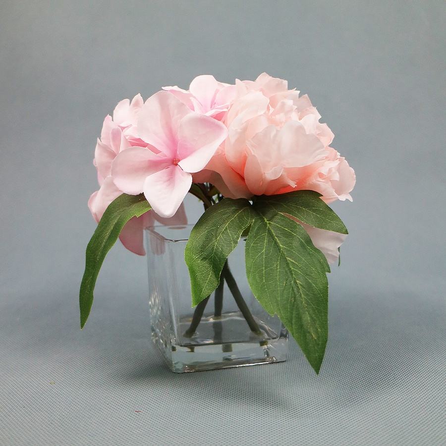 How to Choose the Best Mini Leaf Hydrangea with Seed for Your Garden