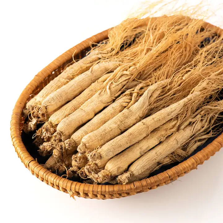 Harga Ginseng Liar - Kualitas Tinggi & Tersedia Grosir