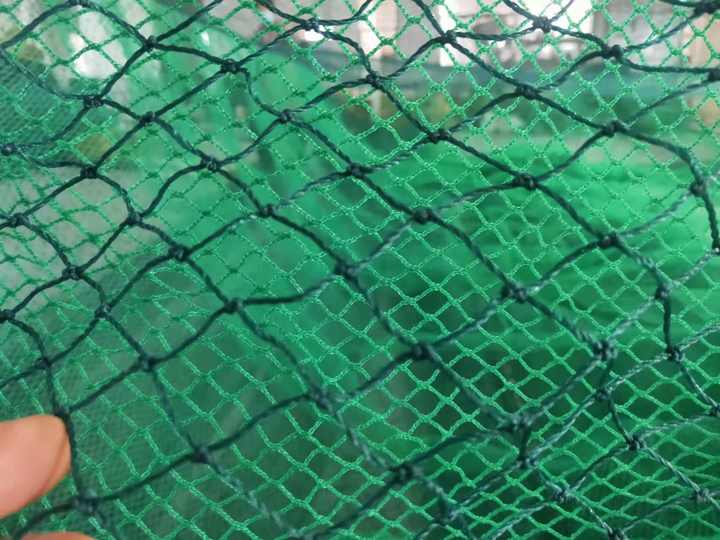 Aquaculture Fish Farming - Efficient Floating Net Cages