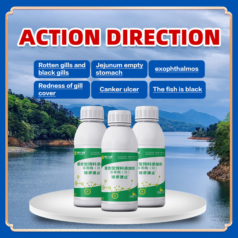 Effective Aquatic Supplement for Fish Shrimp Promotes Healthy Ecosystem ...