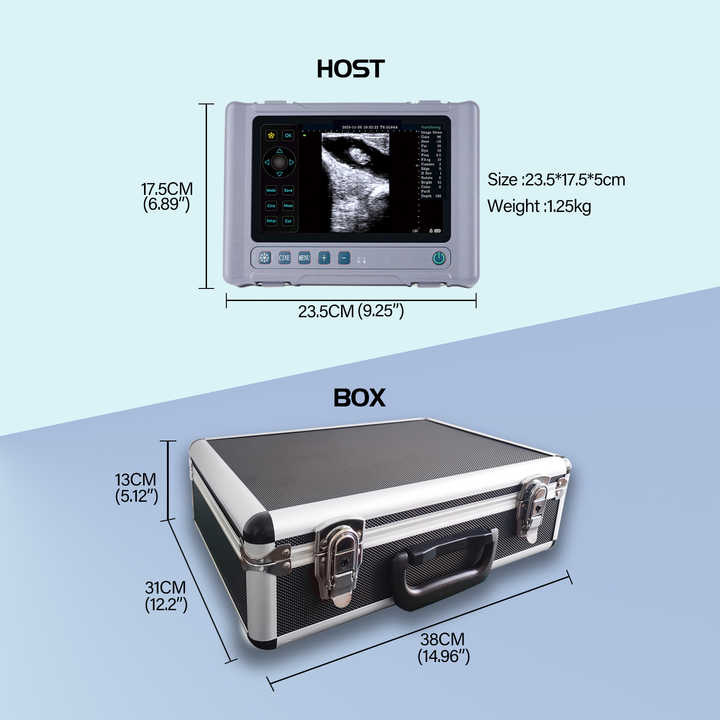 Veterinary Abdominal Cattle Back Fat Ultrasonido Vet Ultrasound Sheep ...