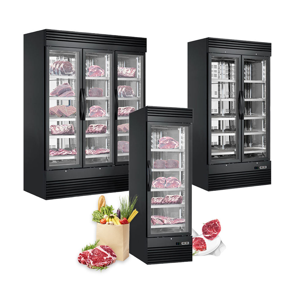 Stainless Steel Meat Dry Aging Cabinets - 1000L Capacity