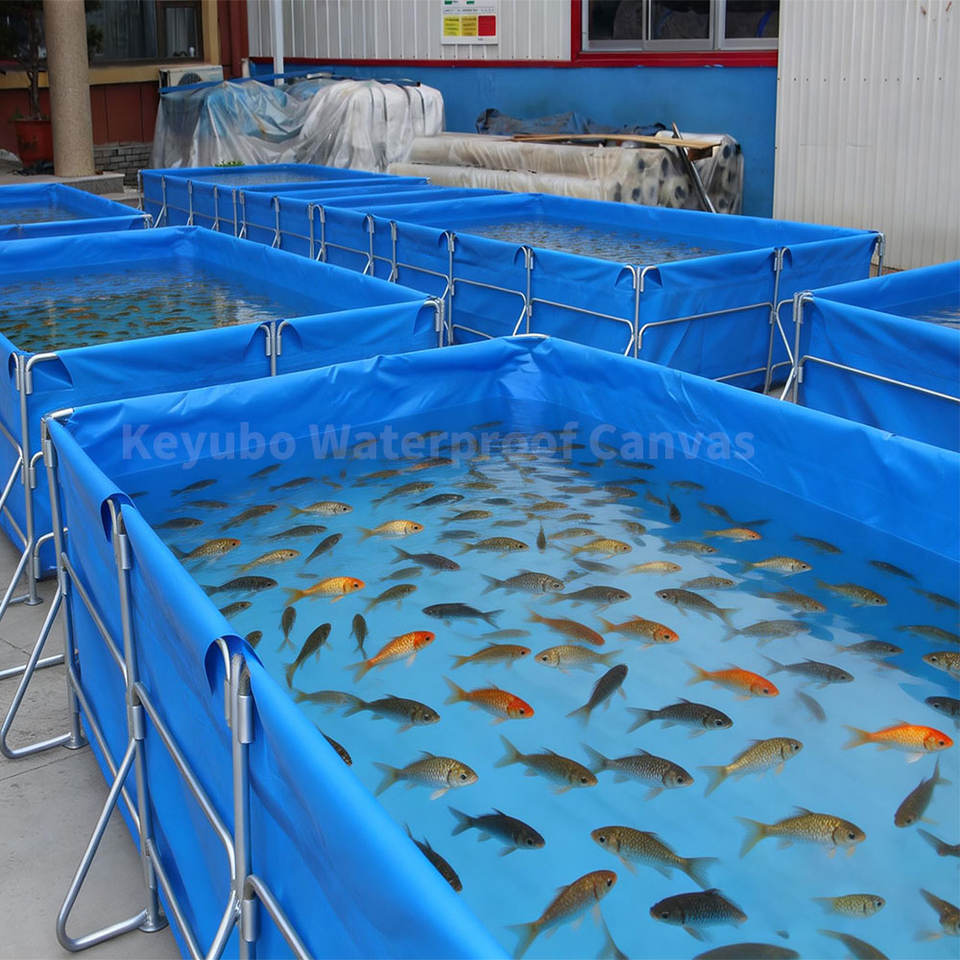 Keyubo 7*3*1.2m Wholesale Custom Aquaculture Pool with Galvanized ...