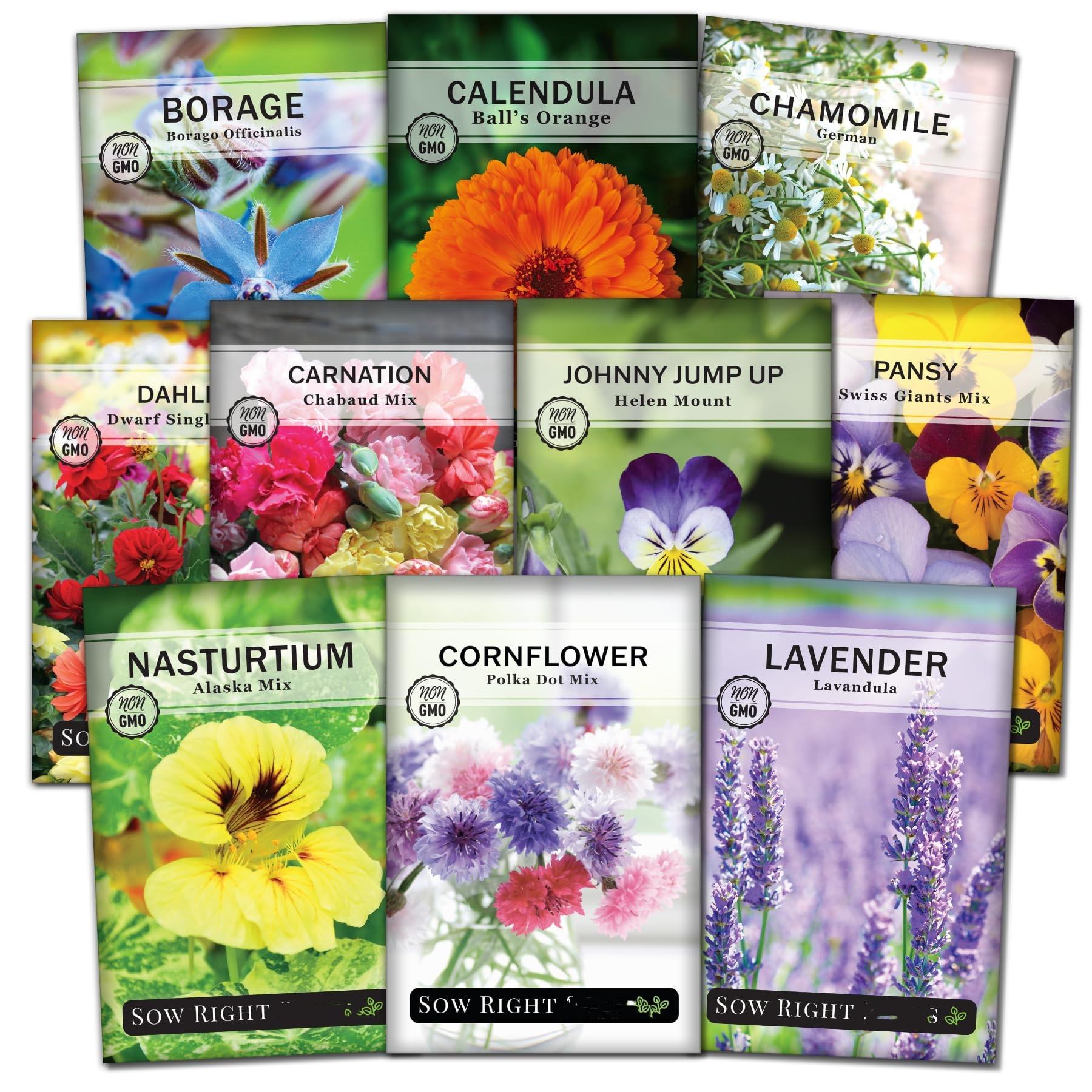How to Choose the Best Seed Packet for Your Garden: A Complete Buying Guide