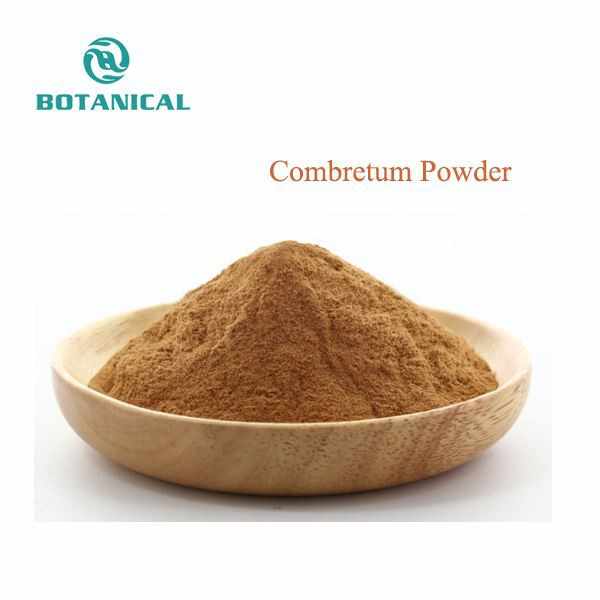 Golden Acacia Sweet Acacia Extract 10:1 - Botanical Cube