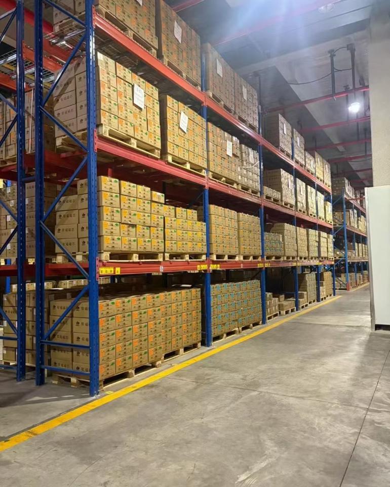 DRT20D08C Remote Terminal Module 24vdc| Alibaba.com