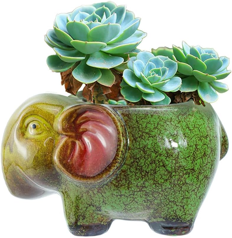 Adorable Duck Planters - Unique and Stylish Garden Decor