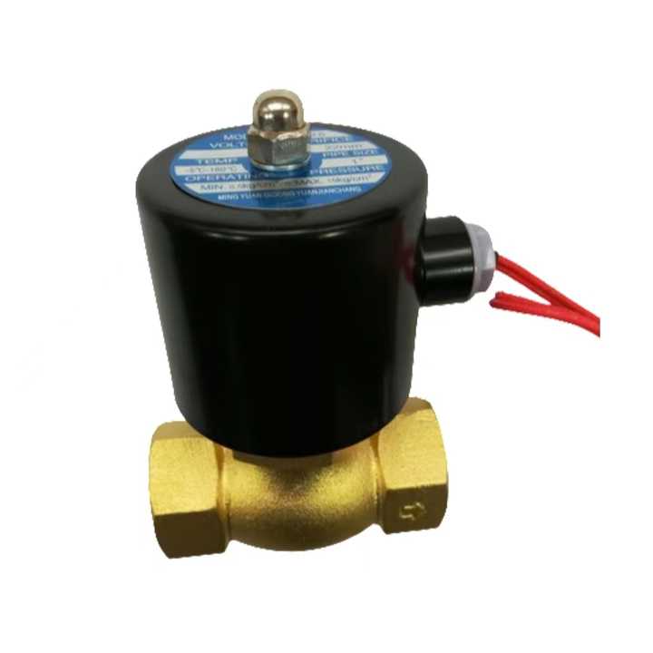 High-Temperature 12V 24V DC 110V 120V 220V 230V AC Solenoid Valve 2L-50 2L500-50 2inch Pilot ...