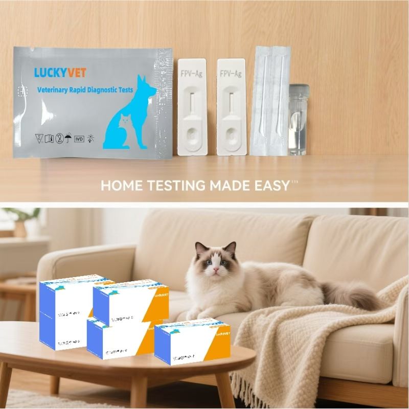 Veterinary FPV-Ag Rapid Test Kit for Dogs Antigen Rapid test Cassette ...