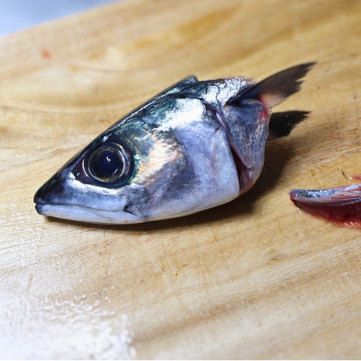 Frozen Tuna Heads - Quality Cutting & Processing Machines