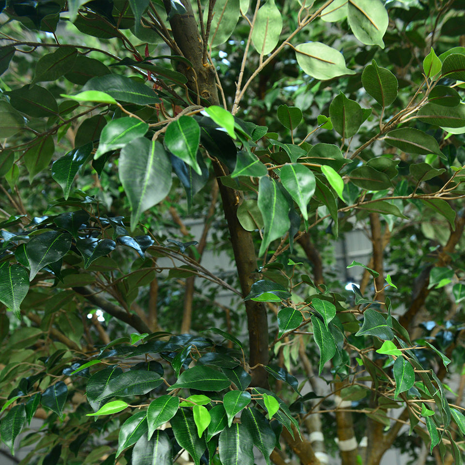 Artificial Oak Tree Indoor Artificial Ficus Tree Facux Banyan Tree ...