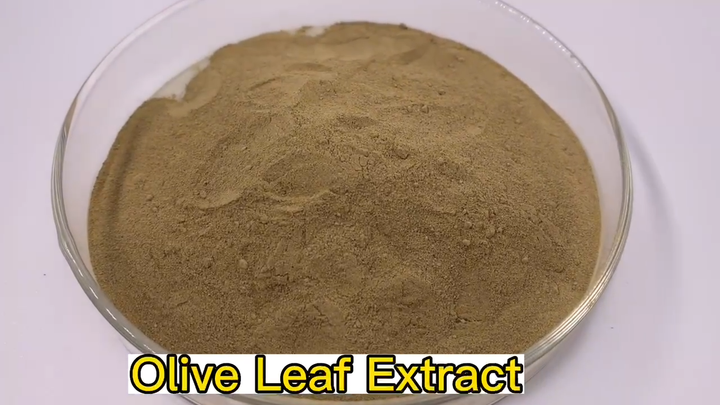HONGDA Oleuropein 20% 40% Oleuropein Olive Leaf Extract Powder| Alibaba.com
