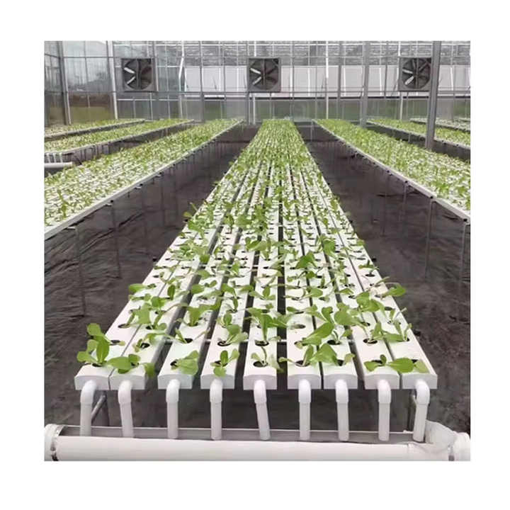 PVC Pipe NFT Channel Hydroponic Growing System by Baina