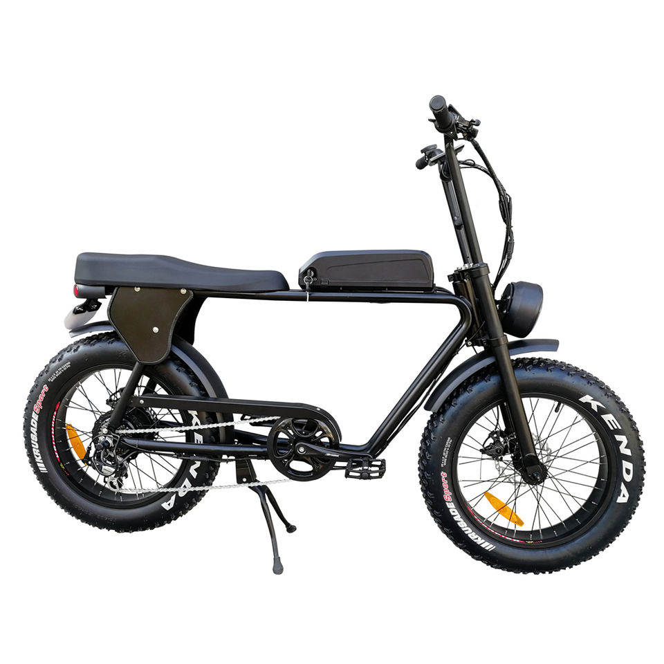 2020 Haley Style Fat Boy Electric Bike - 500w to 1000w Power