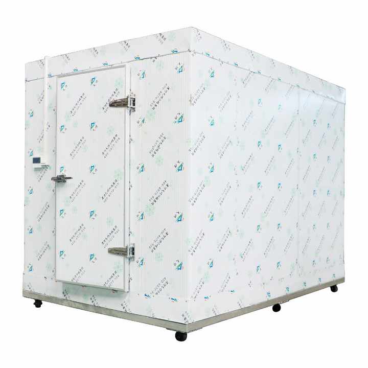 Large 1000 Tons Cold Storage - Efficient Freezing Solutions