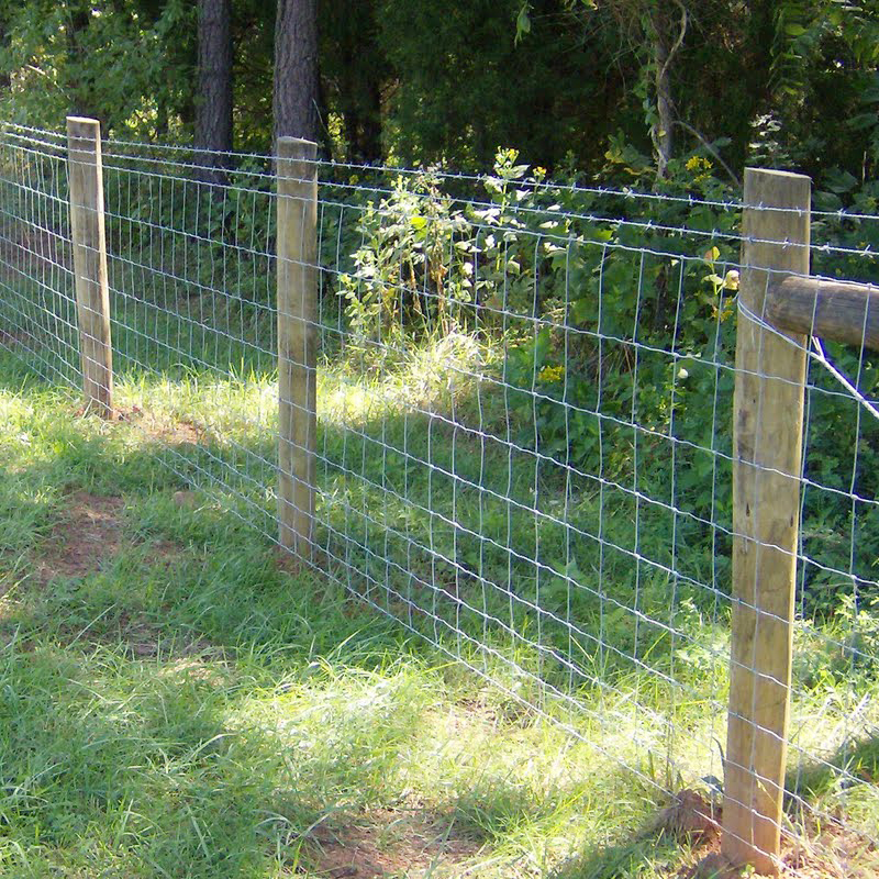 Boost Farm Efficiency with Innovative goat guard Solutions