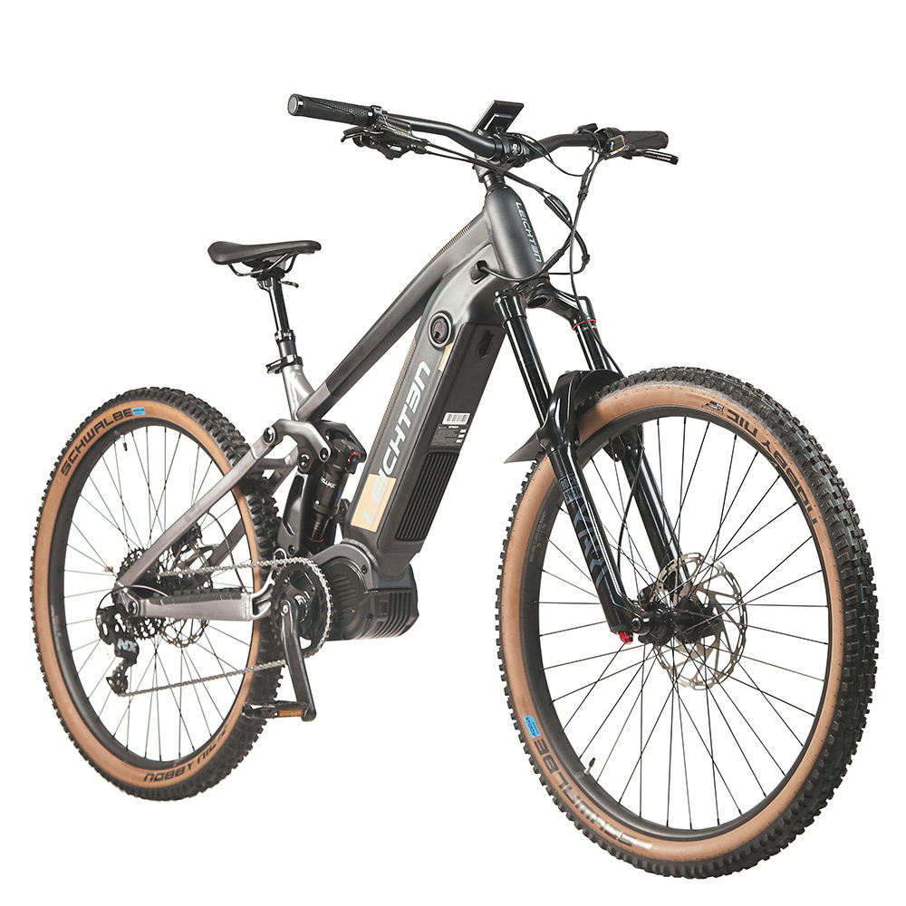 How to Choose the Best Alucard Electric Bike for Your Needs