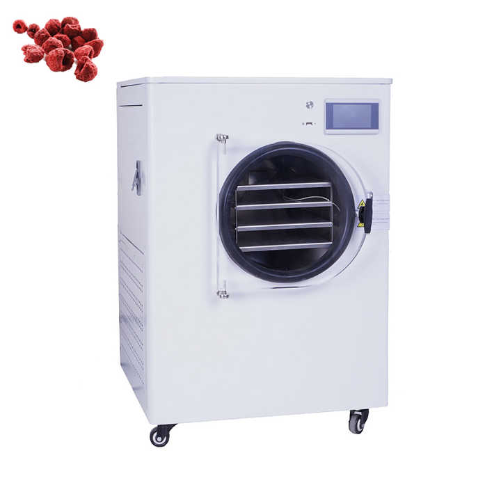 Mini Freeze Dryer Machine Sublimation Condensation Dryer Mini ...