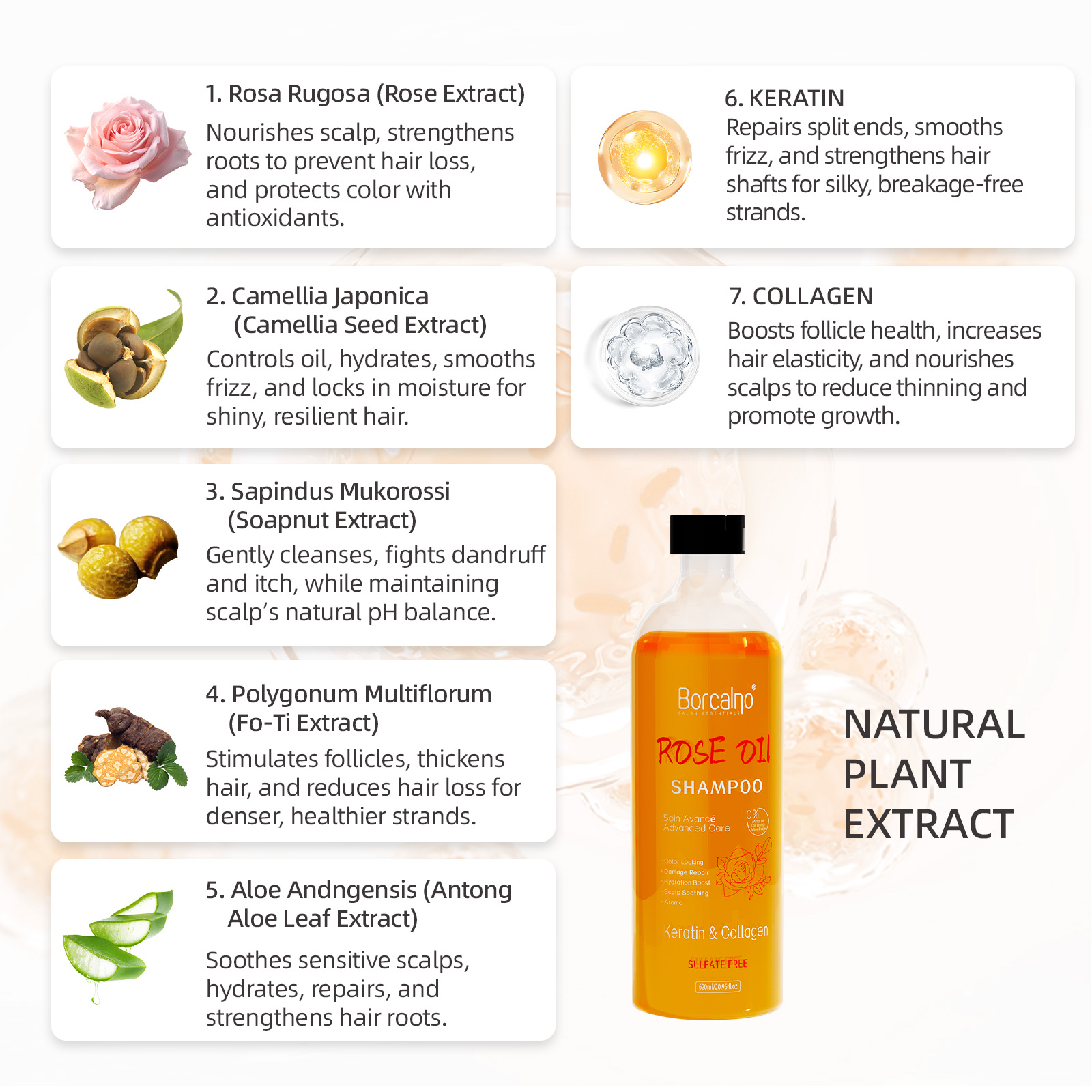 Revitalize Hair with Premium oil infus shampoo Solutions for Professionals