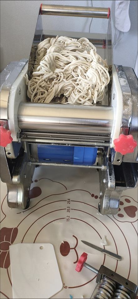 Commercial Stainless Steel Electric Fresh Noodle Making Machine Home ...
