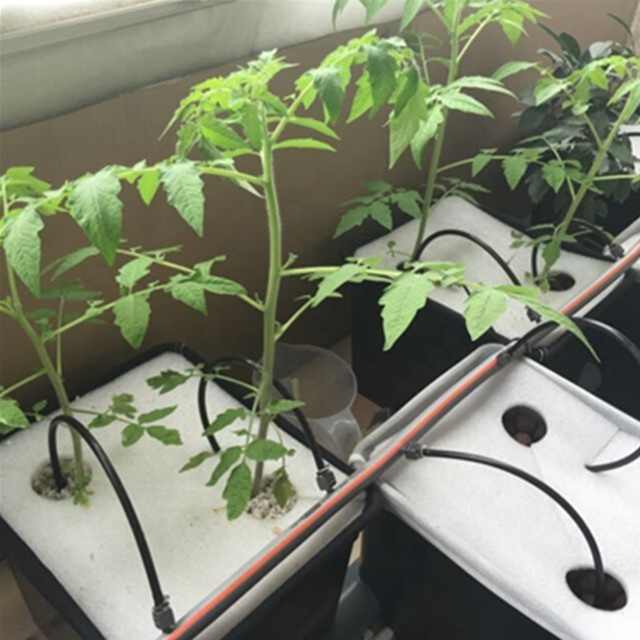 Hydroponic rectangular plastic bucket 20 gallon dutch grow bucket with ...