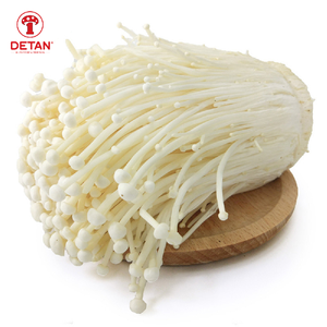 Nutritious, Dried price of enokitake mushroom enoki mushrooms With ...