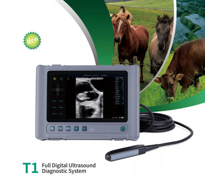 Portable Small Size Full Digital Handheld Veterinary Ultrasound Medical ...