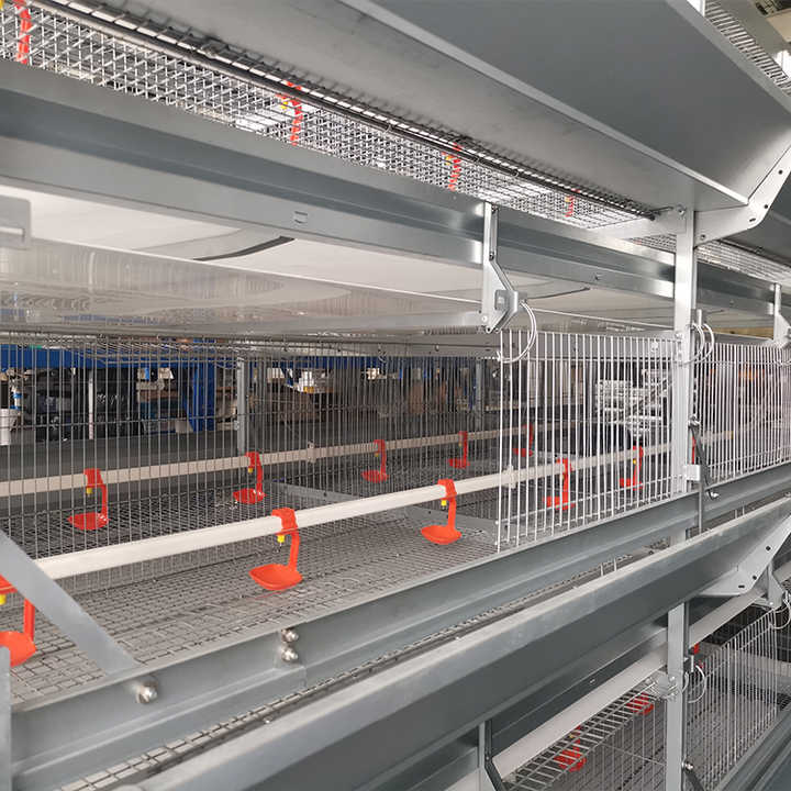 Automatic Broiler Cage System - Space-Saving Poultry Farming