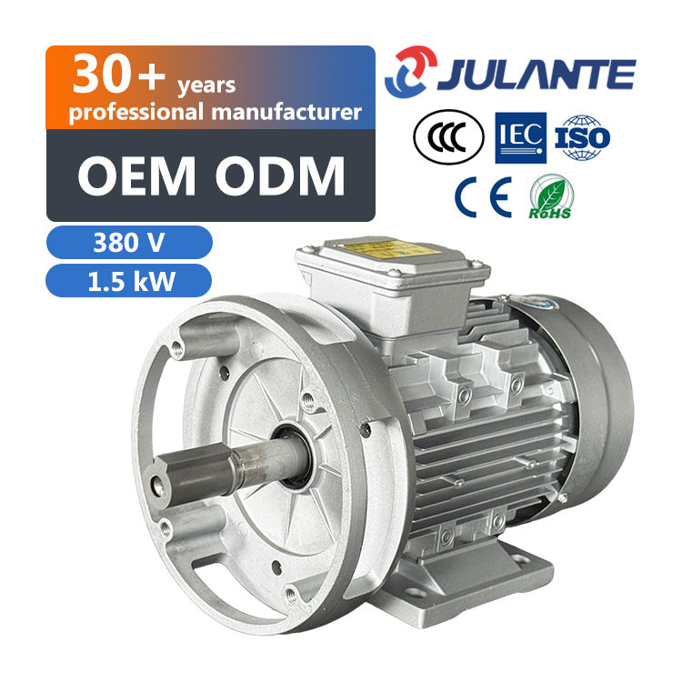 IEC 380V IP55 Protection 50Hz Cast Iron Ac Asynchronous Induction ...