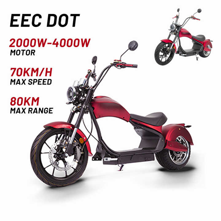 3000W Electric Citycoco Chopper Bicycle for Adults