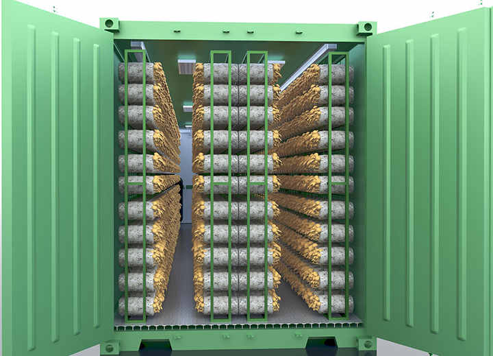 Fully Automatic Smart Mushroom Container Farms Insulated Farm Shipping ...