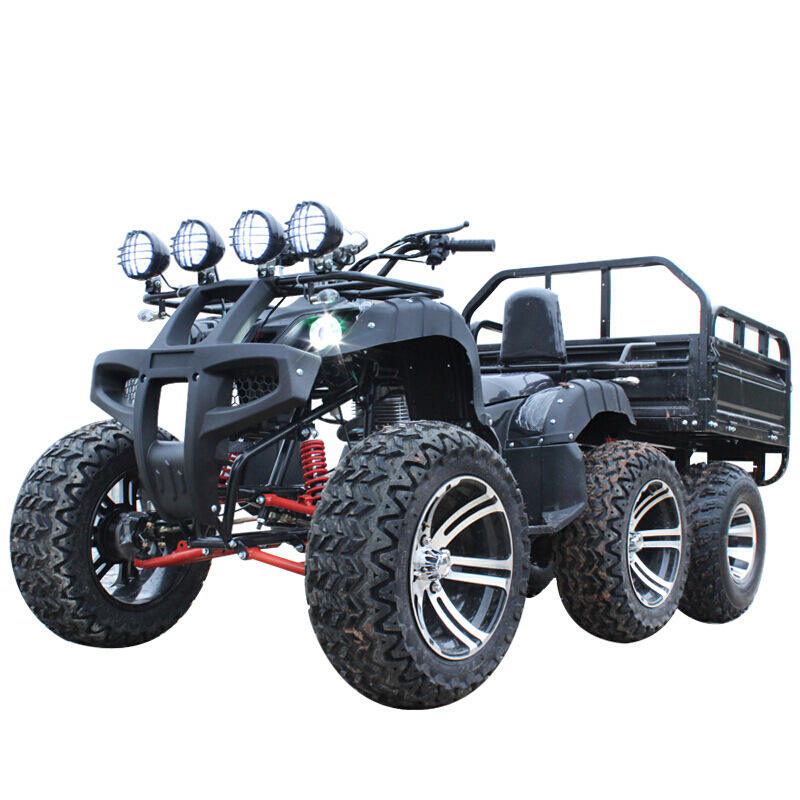 Agriculture 4X2 ATV - 2 Wheel Drive Cargo Vehicle with Trailer for ...