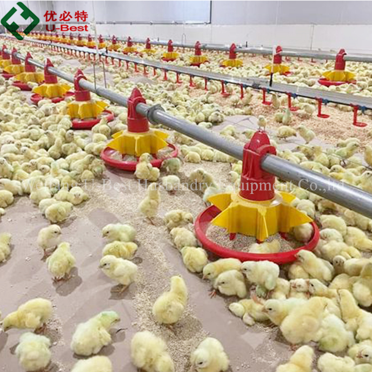 pollo de equipo de pollos de engorde robusto y espacioso para animales ...