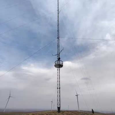 Customizable Offshore Observation Wind Tower| Alibaba.com
