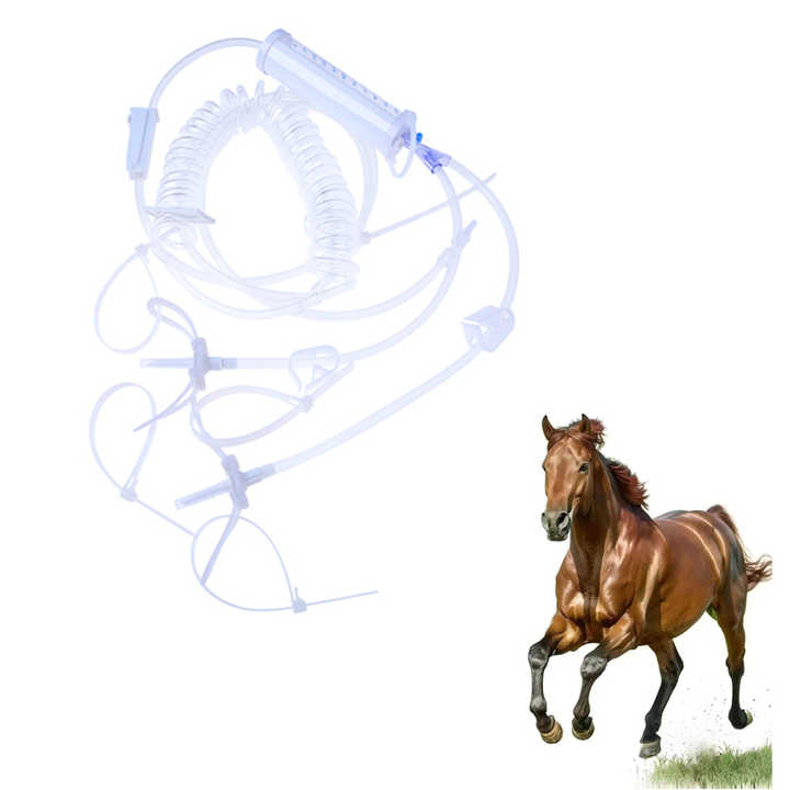 Infusion Set for Horses - Versatile and Durable Solutions