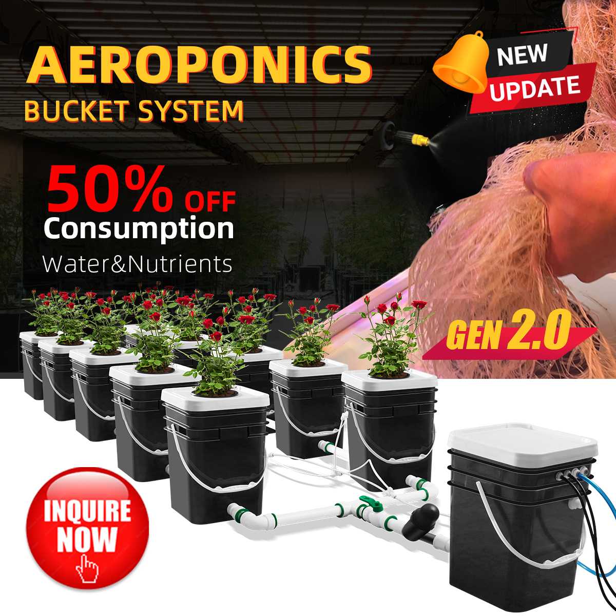 How to Choose the Best DWC Pot for Hydroponics: A Complete Buying Guide
