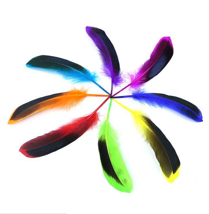 Duck Feathers - High Quality Natural White for Crafts & Badminton