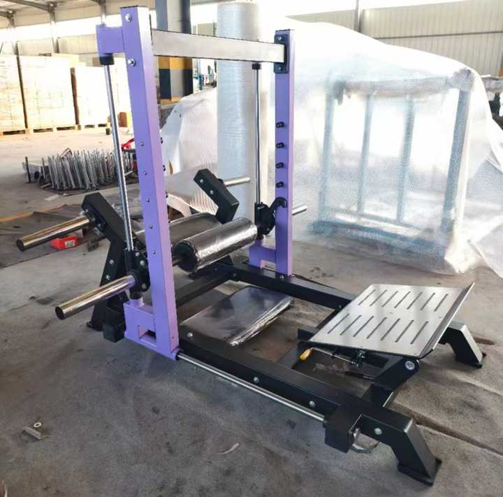 Dual-Function Sitting Posture Pendulum Squat Fitness Equipment Body ...