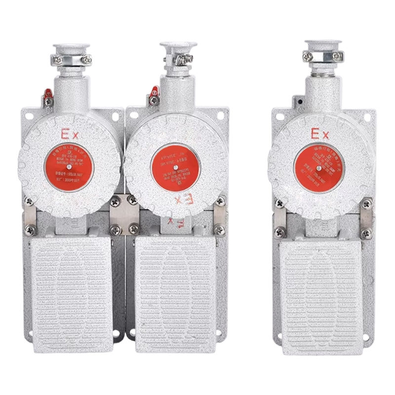 IP65 WF1 Corrosion-Resistant Explosion-Proof Foot Switch with ...
