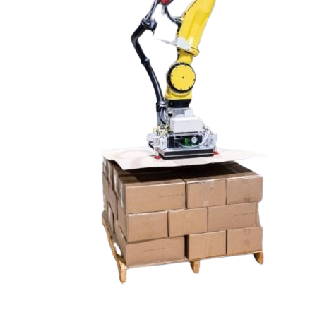 FENIX SYSTEM Palletizing Robot 4 Axis Automatic Bag Palletizing System ...