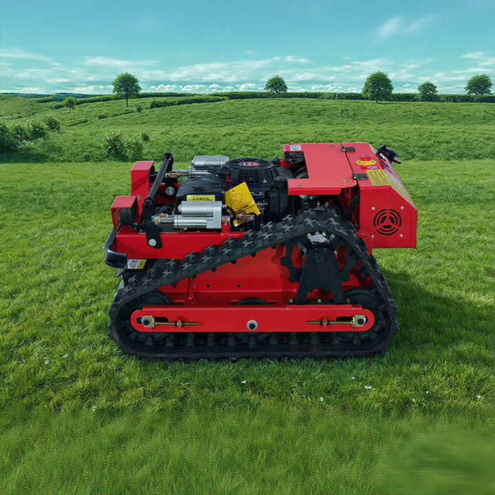 Durable and Cheap Lawnmower on Tracks Lawn 2-stroke Engine Mower grass ...