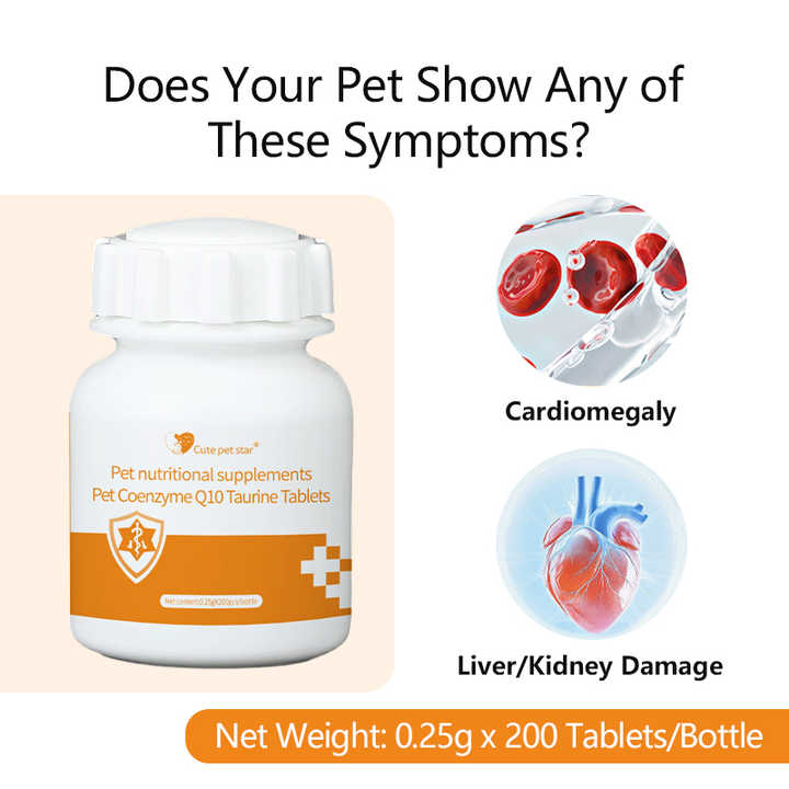 COENZYME Q10 Chewable Tablet Pet Health Care Supplement for Cats and ...